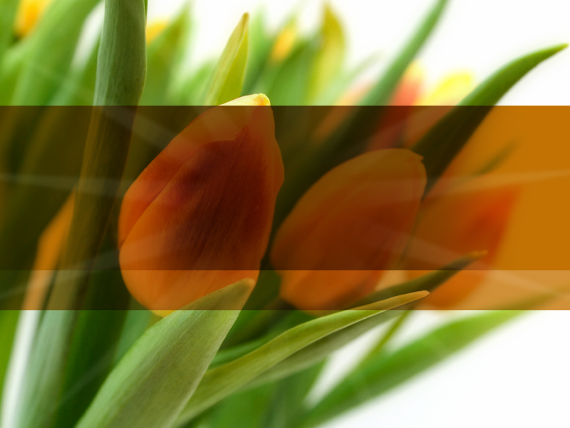 He Is Risen (Easter) | Ministry127